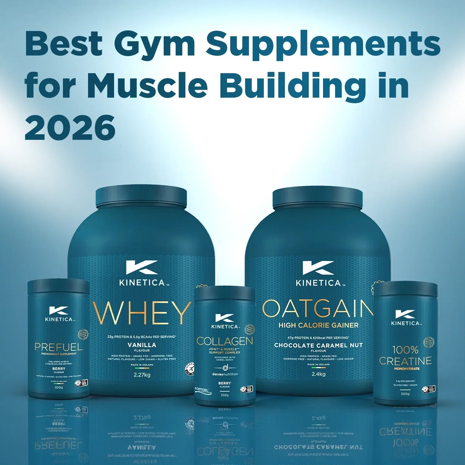 Best Gym Supplements for Muscle Building in 2026 | Expert Guide