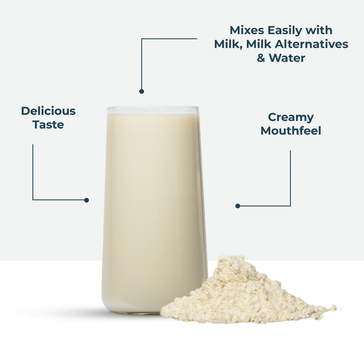 Protein Powder Supplements